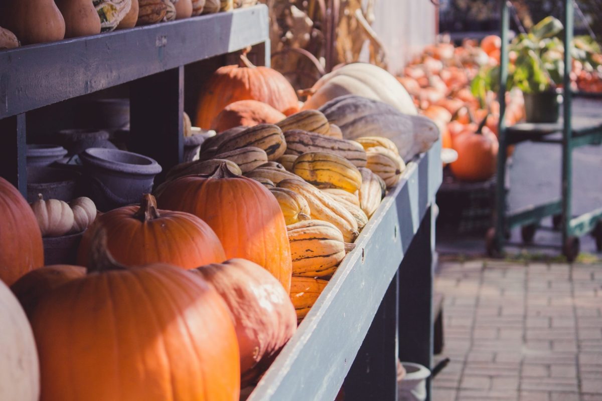 4 Small Business Marketing Ideas for the Fall | PostNet