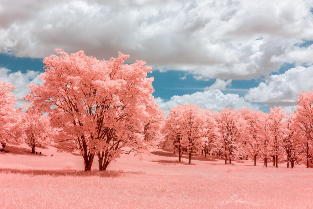 The 2018 PostNet Design Trends Guide - PostNet